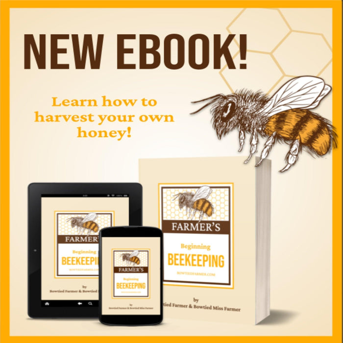 Beekeeping Book | Beekeeping For Beginners